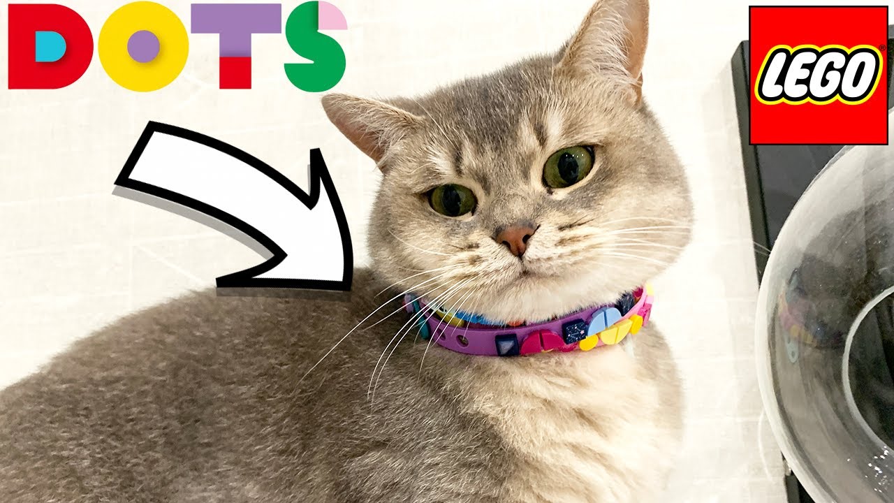 Lego Dots Bracelets - Your Own Design for Kitten! - YouTube