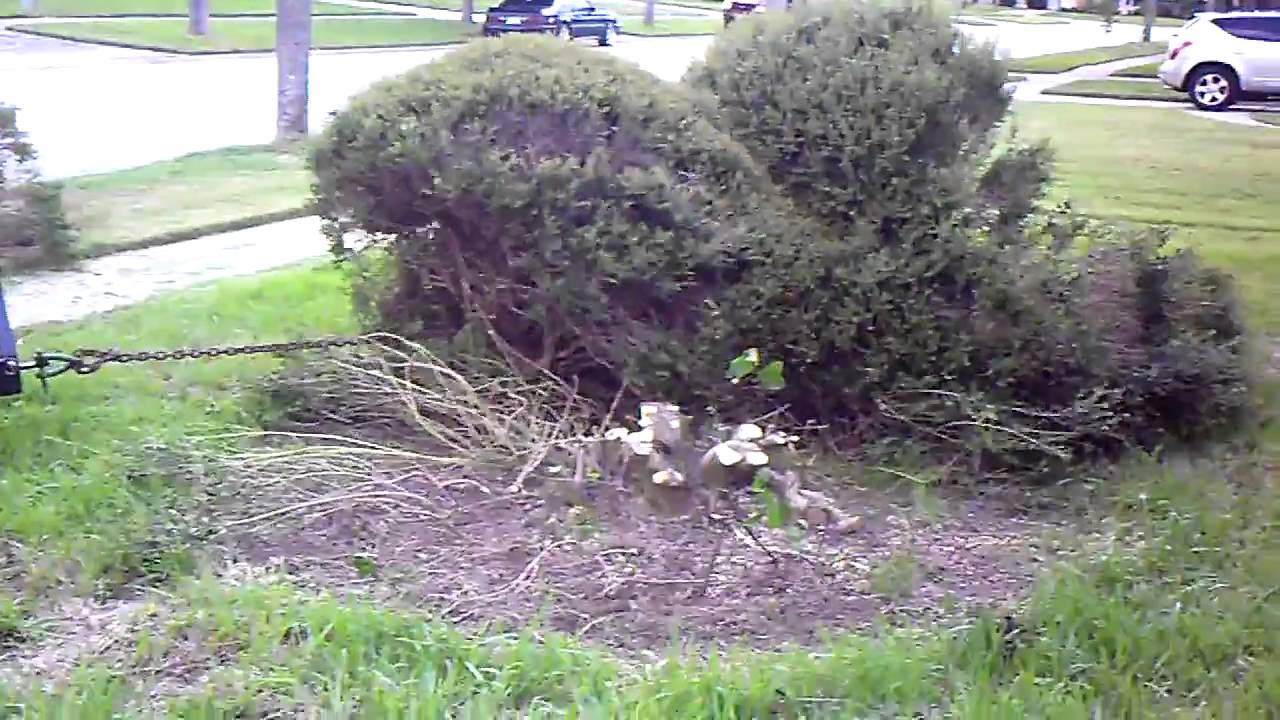 front yard shrub removal 9 09c - YouTube