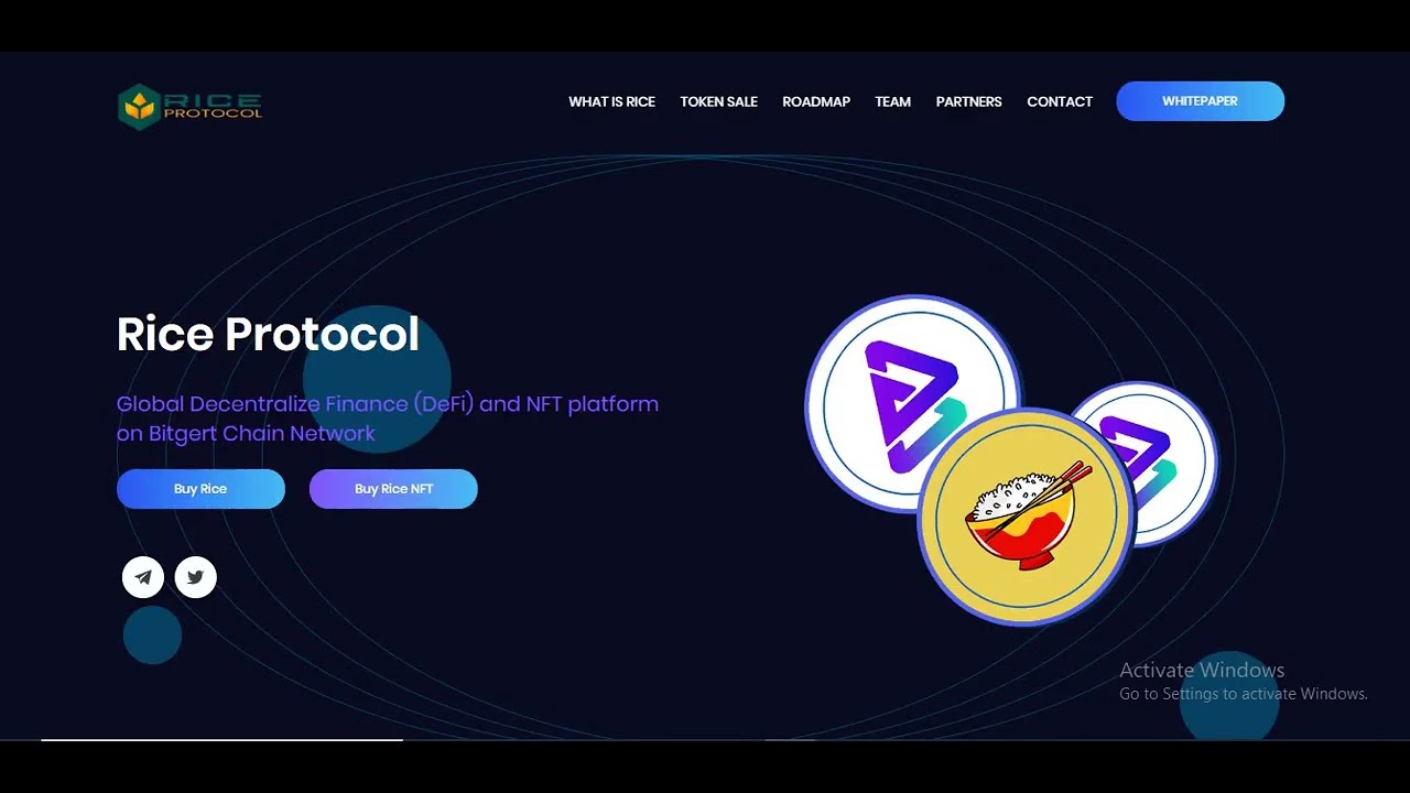 Rice Protocol Review - YouTube