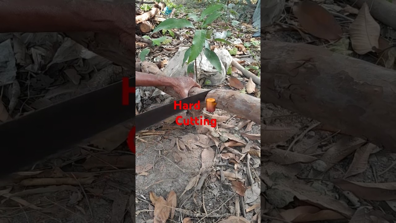 Hard wood cutting #woodworking #up #cutting #bihar #india - YouTube