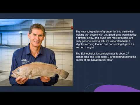 Australians have been eating a kind of fish unknown to science. - YouTube