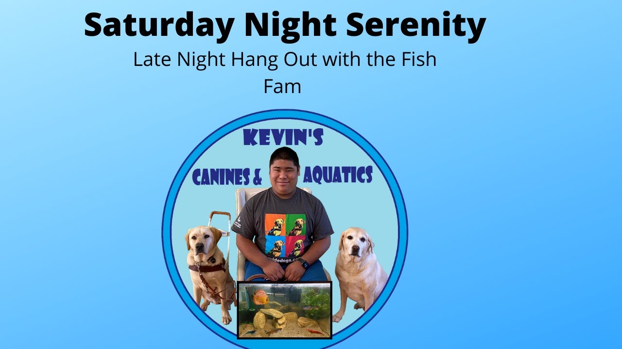 Saturday night serenity - YouTube
