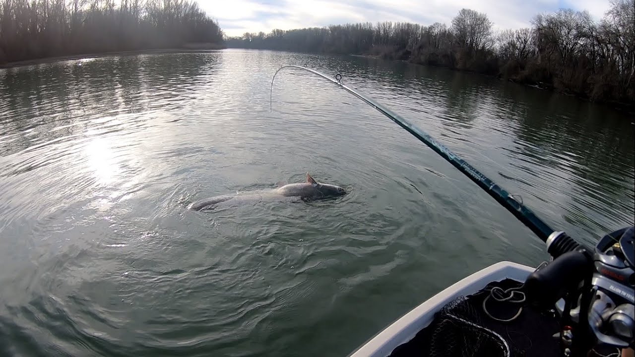 Big Fish on the Line - YouTube