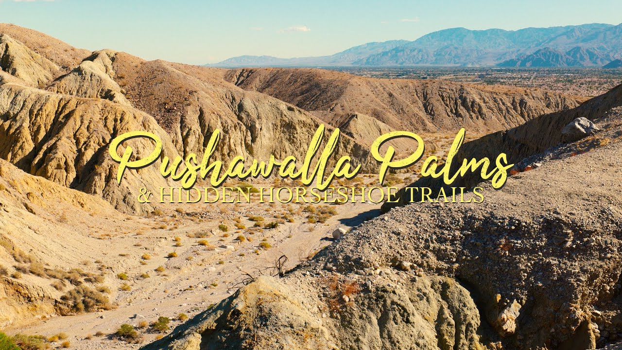 Pushawalla Palms and Hidden Horseshoe Trails || Thousand Palms, CA ...