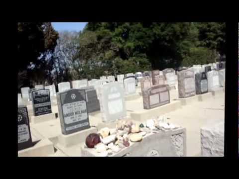 The Three Stooges: Gravesites of Curly and Shemp - YouTube