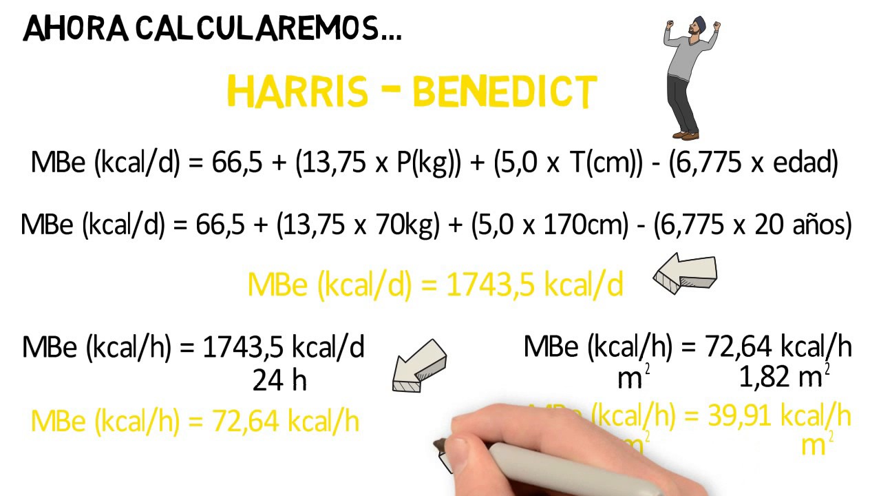 Cálculos Metabolismo Parte 1 - YouTube