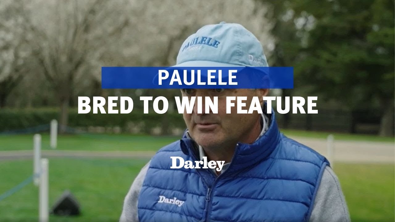 Paulele, five-time Group winner | Bred To Win - YouTube