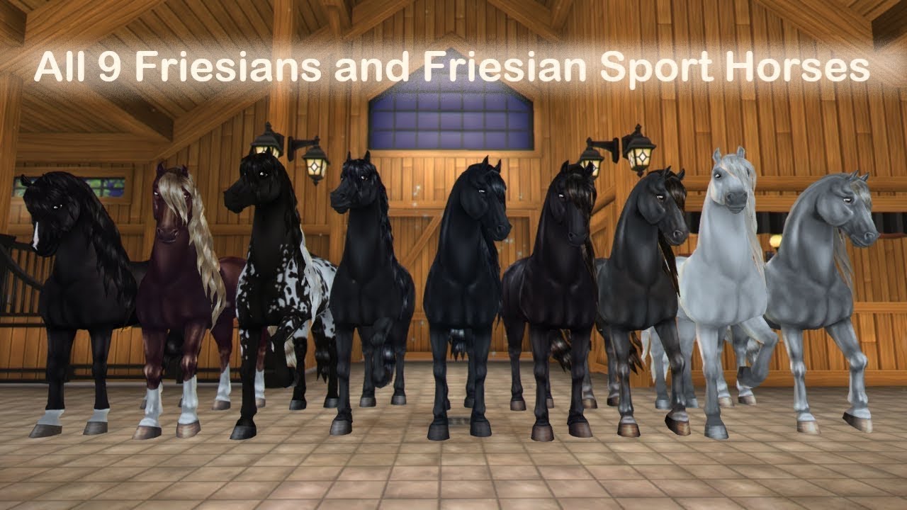 SSO All Generation 2 Friesians Friesian Sport Horses Gaits Coat sso-all-generation-2-friesians-friesian-sport-horses-gaits-coat