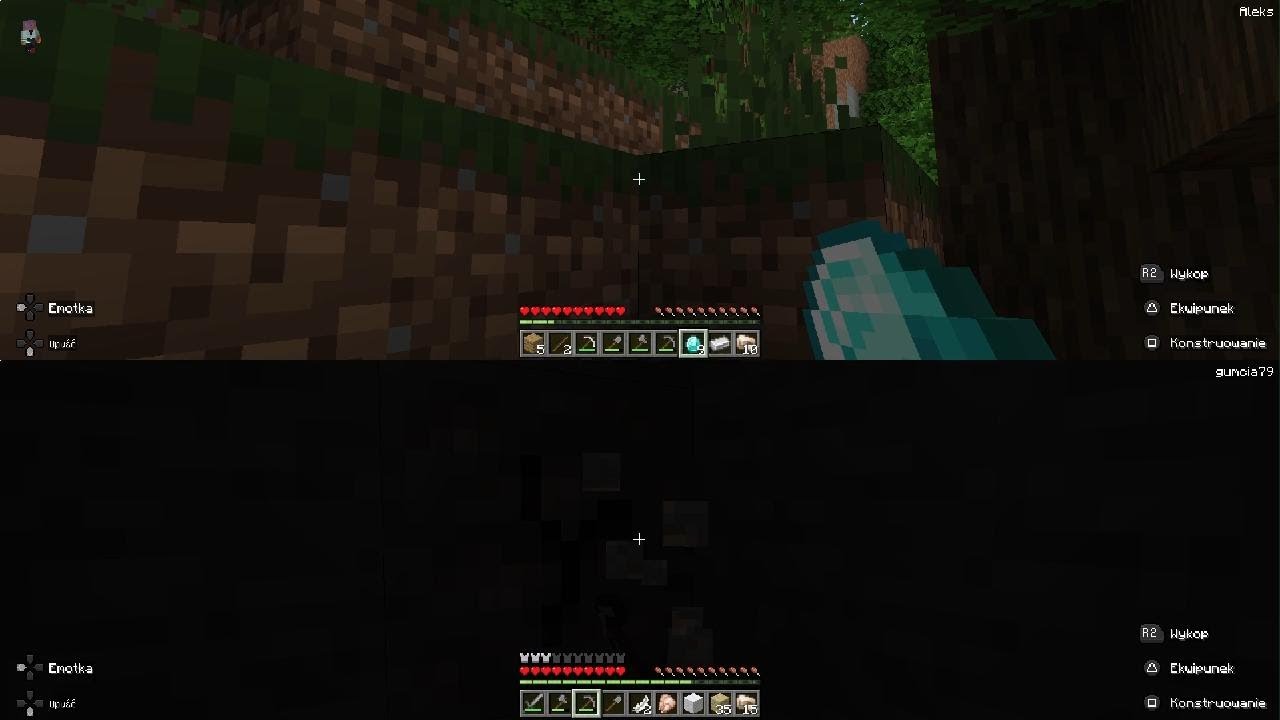 Minecraft Aleks i Mikołaj survival - YouTube