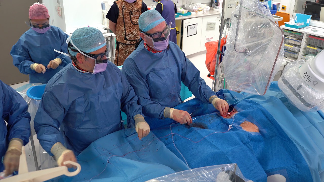 ABBOTT Portico Valve with FlexNav System Live in a Box - YouTube