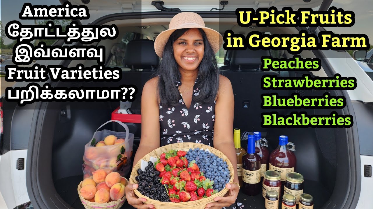 U-Pick Farm Fresh Produce | Strawberry, Blueberry, Blackberry, Peach ...