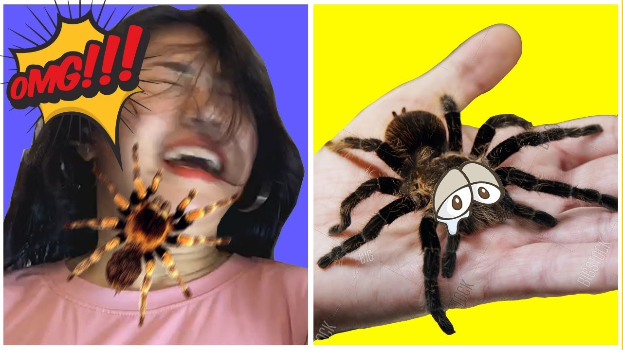 23 BEST FUNNY BUGS PRANKS ON FRIENDS | Funny DIY Bugs Pranks ...