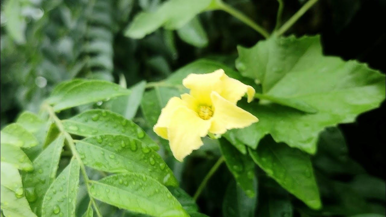 Where I Run Why I Run While Everything I Have! दुनियाँ के बीच में मजा ...