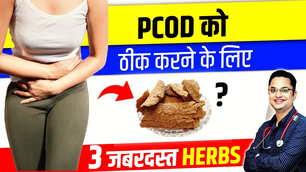 Ayurvedic Herbs For Treating PCOD / PCOS | Complete Cure of PCOD | PCOS ...