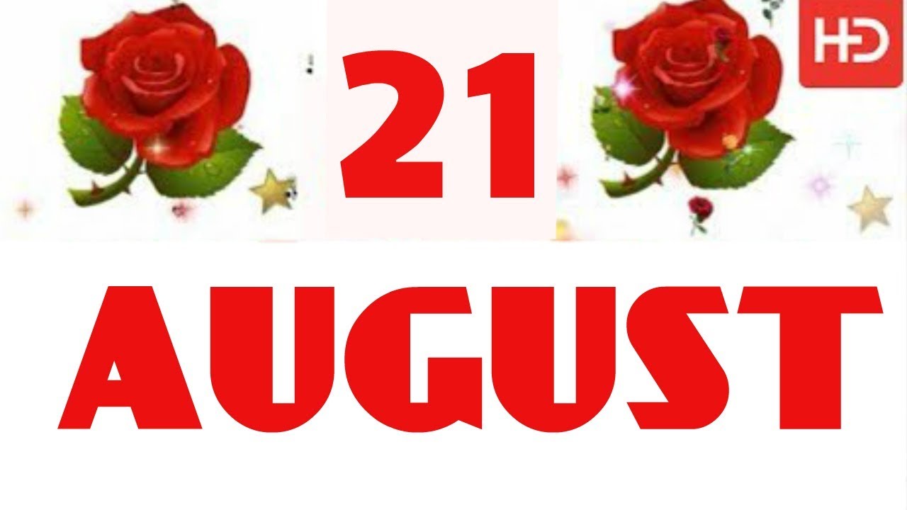 21 AUGUST Special New Birthday Status Video , happy birthday wishes ...