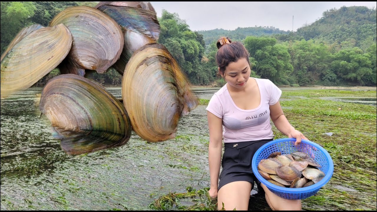 Catching giant freshwater clams in the river | How to cook dishes from ...