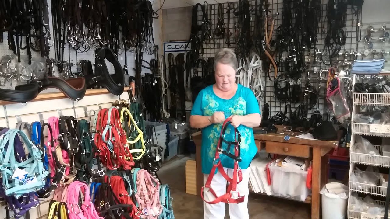 Horse Driving Tack, Horse, Draft, Mini, Donkey Harness - YouTube