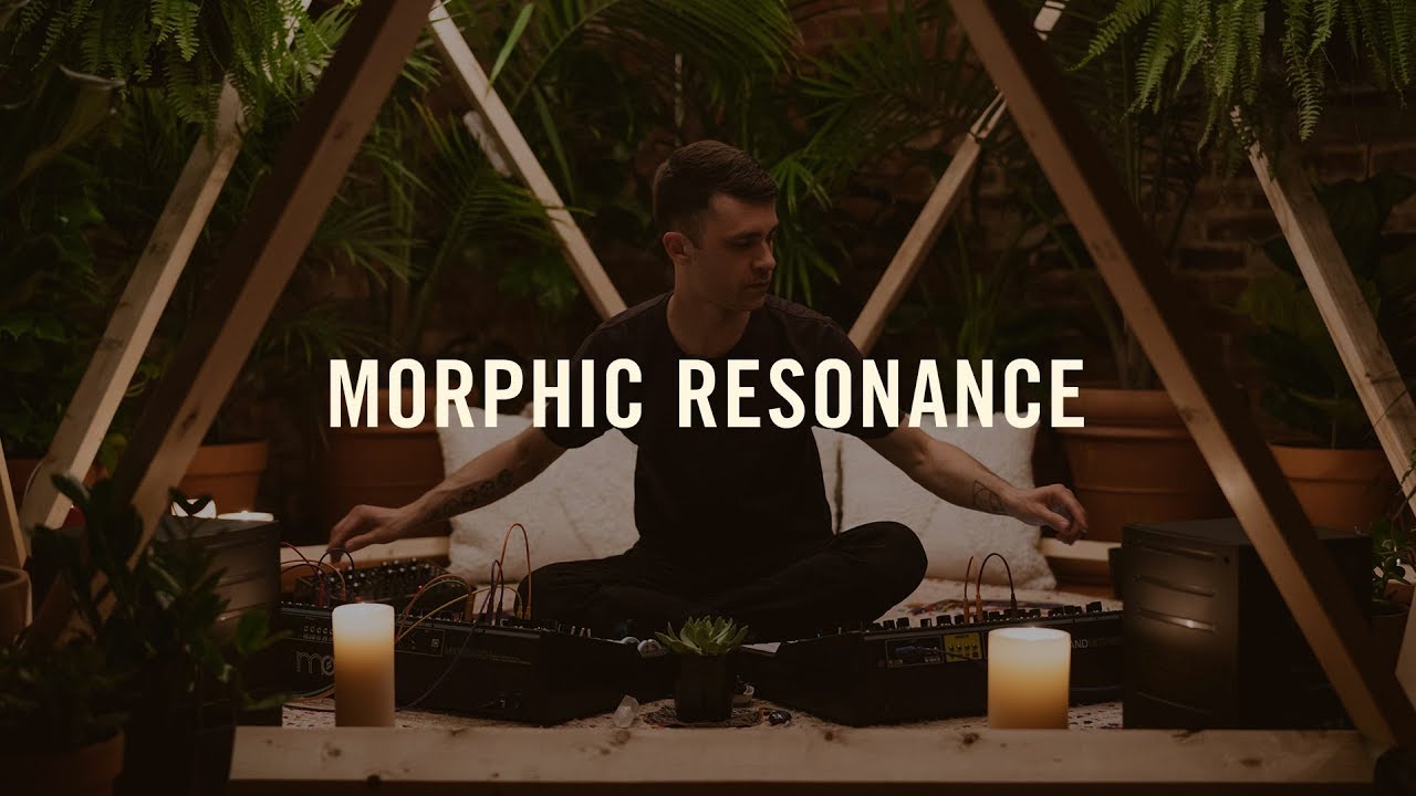 Moog Matriarch | Lightbath | Morphic Resonance - YouTube