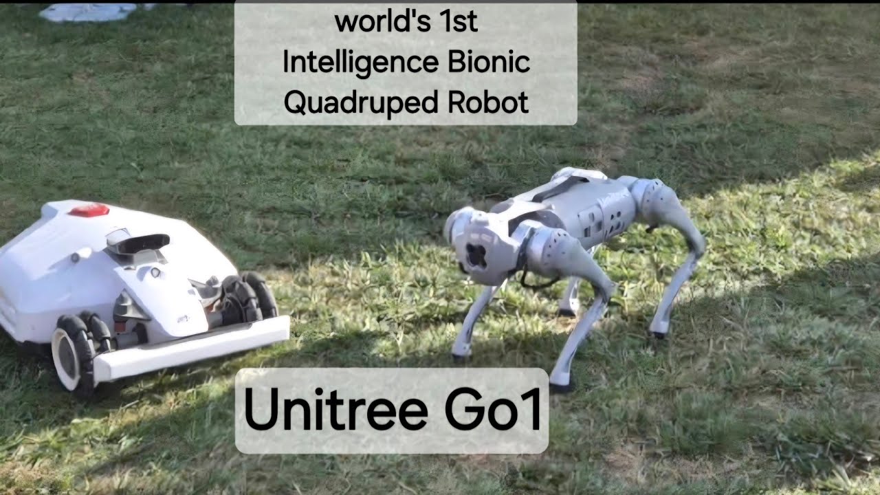 Super Techno Robot Dog Go1 Is here now - YouTube