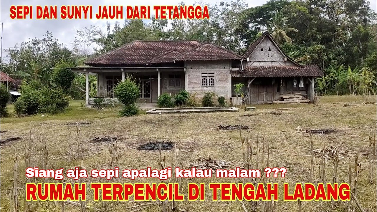 Tanggung gunung Tulungagung Desa yang indah di pegunungan || Rumah ...