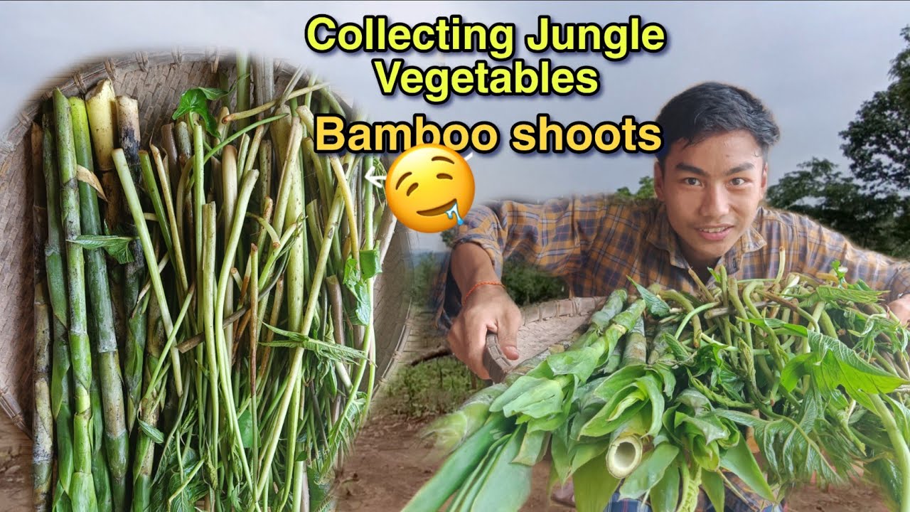 Aaj Pura Organic Sabji Mila Jungle Se 🤤 | Feddle Head Ferns Baambo ...