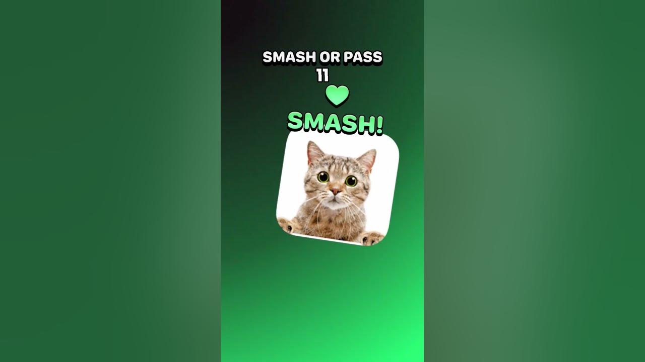 smash or pash - YouTube