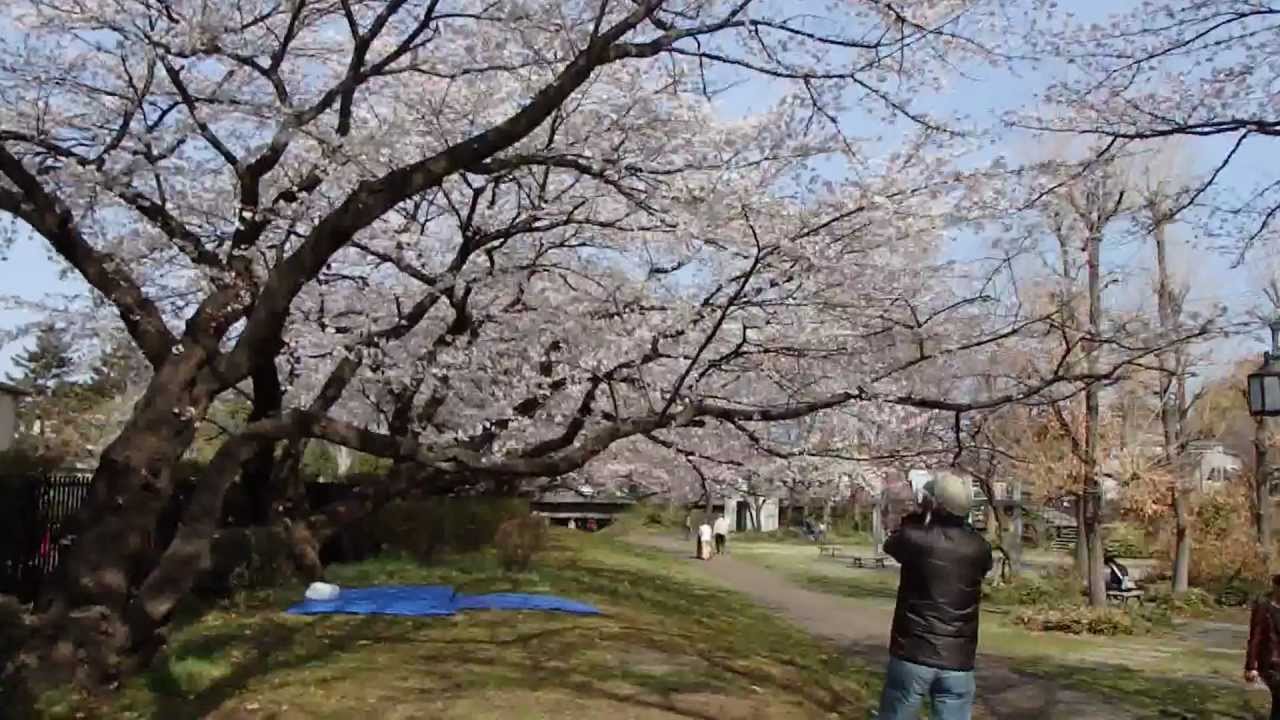 "A Spring Day" 　　OLYMPUS STYLUS SH-50　24x Zoom & 5-axis Movie Stabilization