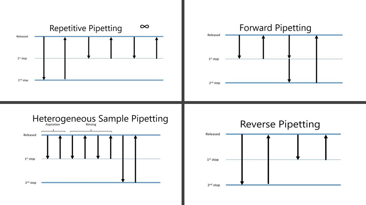 Basic Pipetting Cont. - YouTube