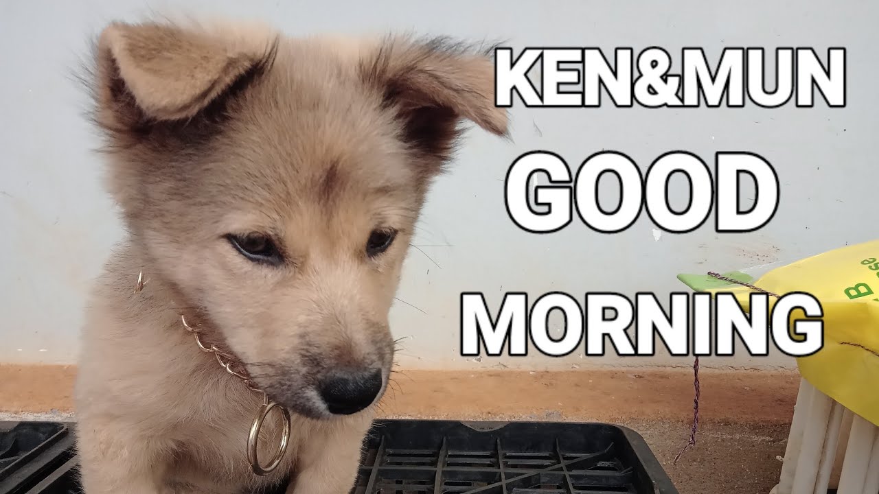 KEN&MUN CHÚC MỌI NGƯỜI MỘT BUỔI SÁNG VUI VẼ. - YouTube