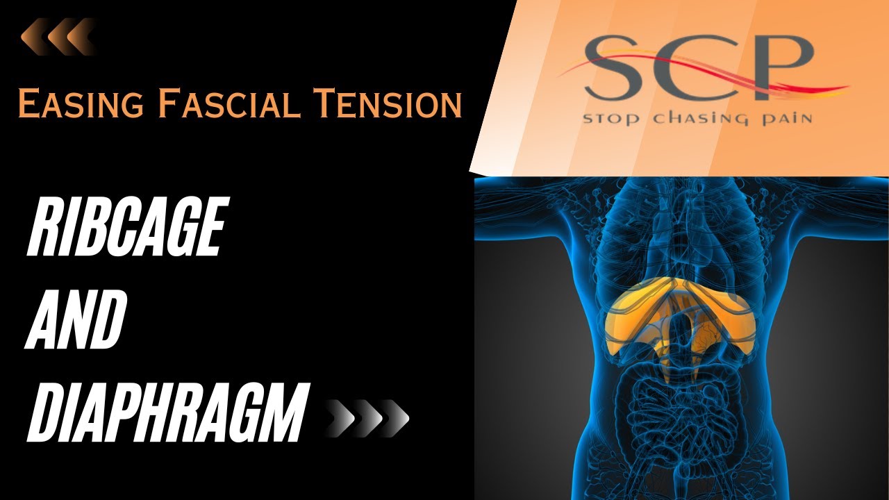 Easing Fascial Tension (Ribcage And Diaphragm) - YouTube