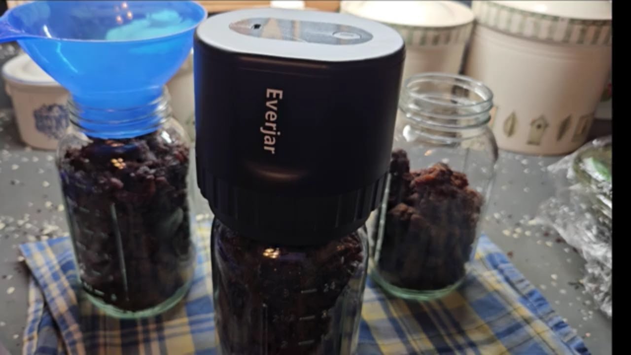 Using my Everjar with Raisins - YouTube