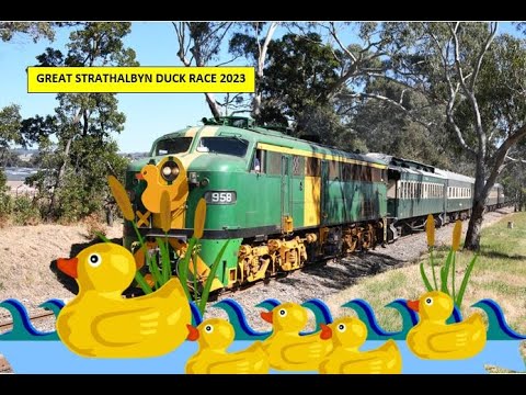 Alco Locomotive 958 takes passengers to The Great Duck Race, Rail ...