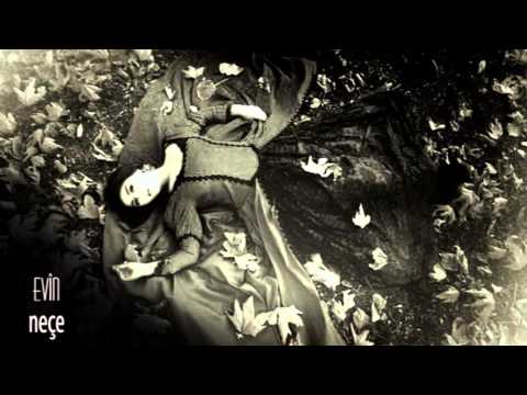 evîn-neçe