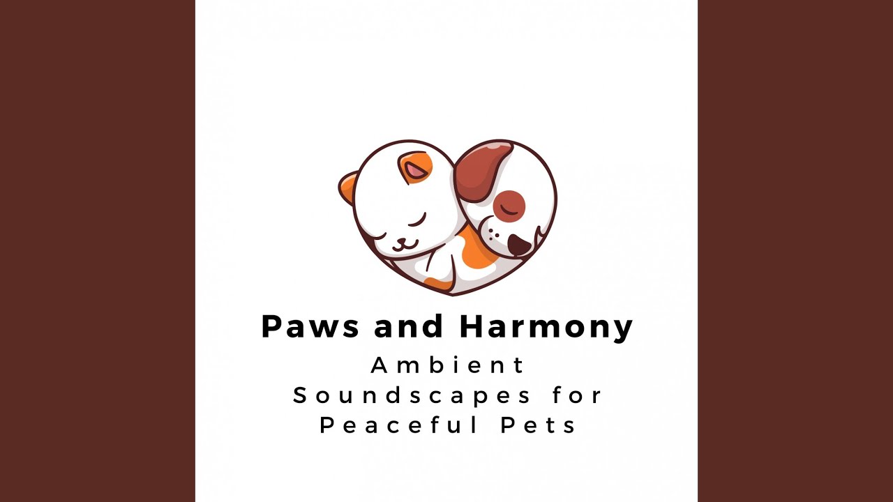Tranquil Paws and Harmony Unveiled - YouTube