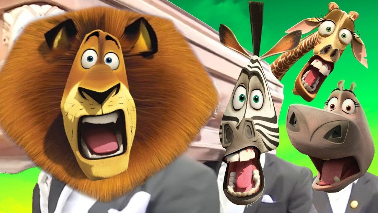 Madagascar - Coffin Dance Song (COVER) - YouTube