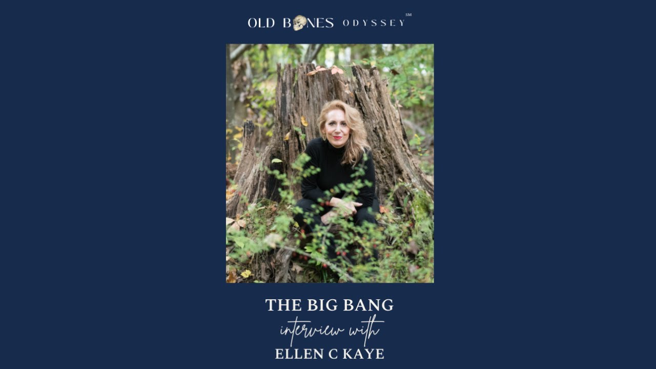 The Big Bang Interviews with Ellen C Kaye - What inspired you when ...