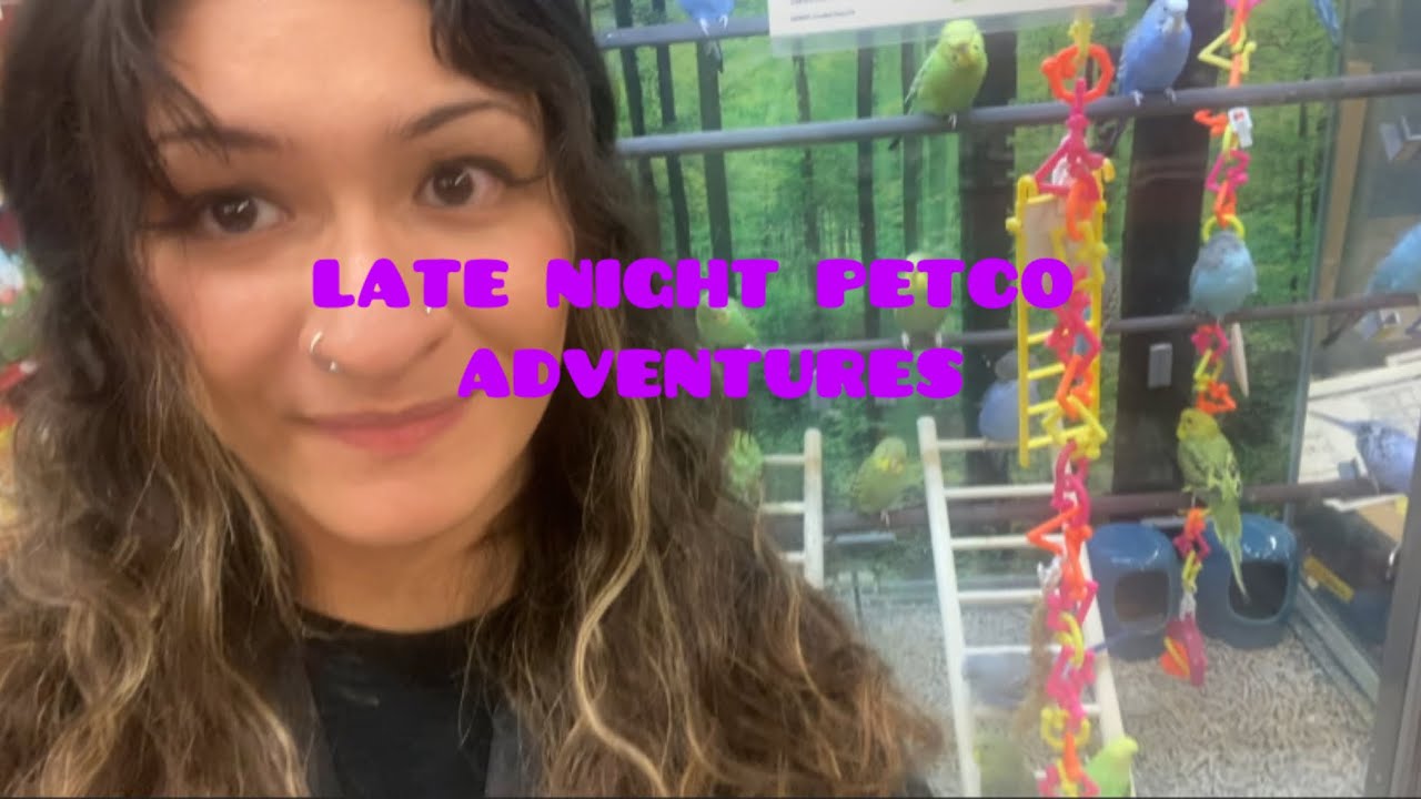 PETCO ADVENTURE | MEMES, DIFFERENT ANIMALS 🦎 - YouTube