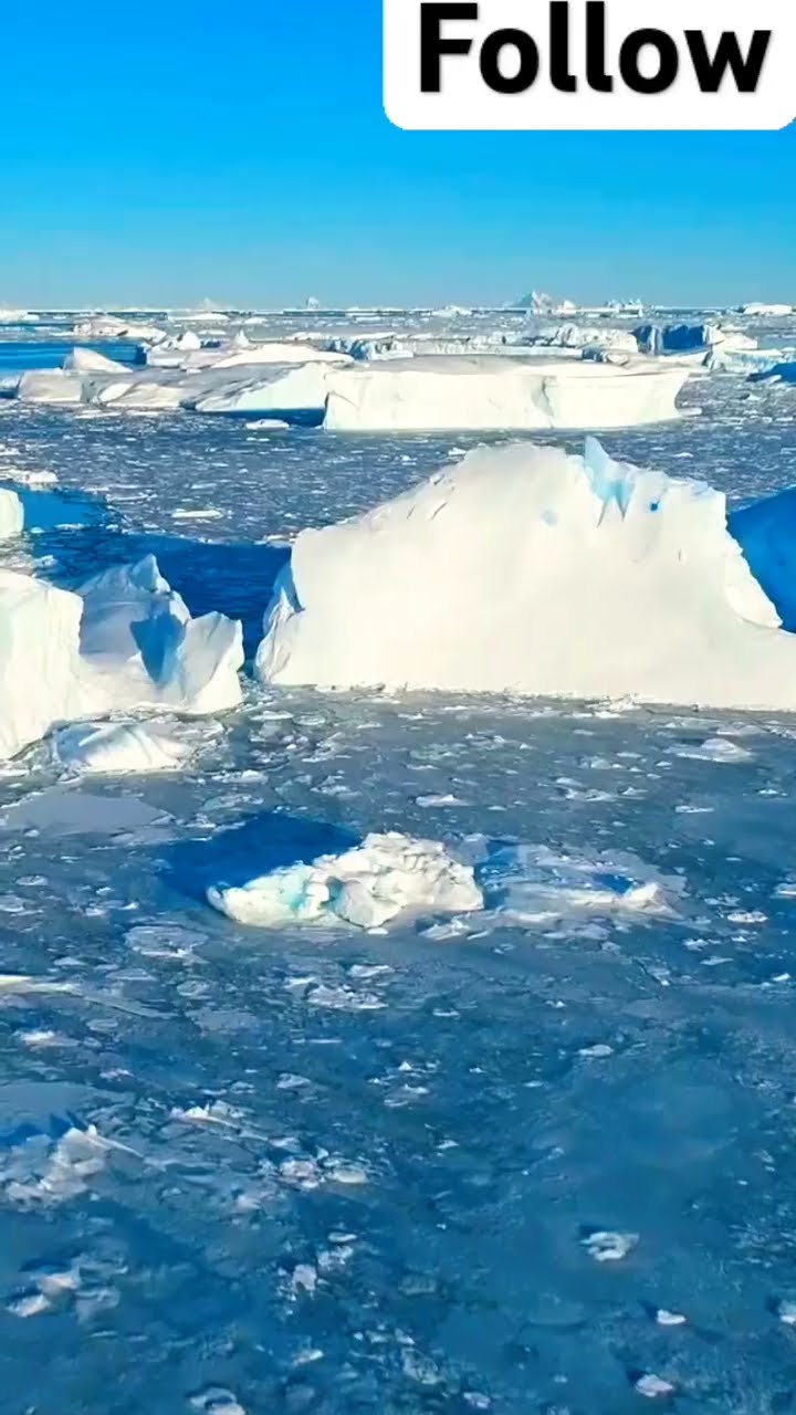 Knowledgeable fact you must know 😮🙋 #knowledge #facts - YouTube