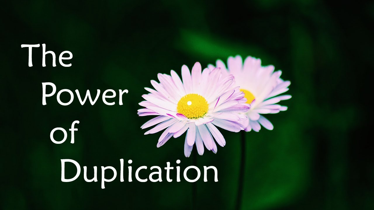 The Power of Duplication - YouTube