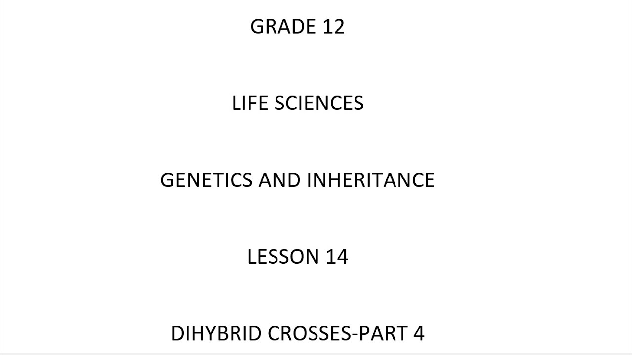 Grade 12: Dihybrid Crosses Part 4 - YouTube