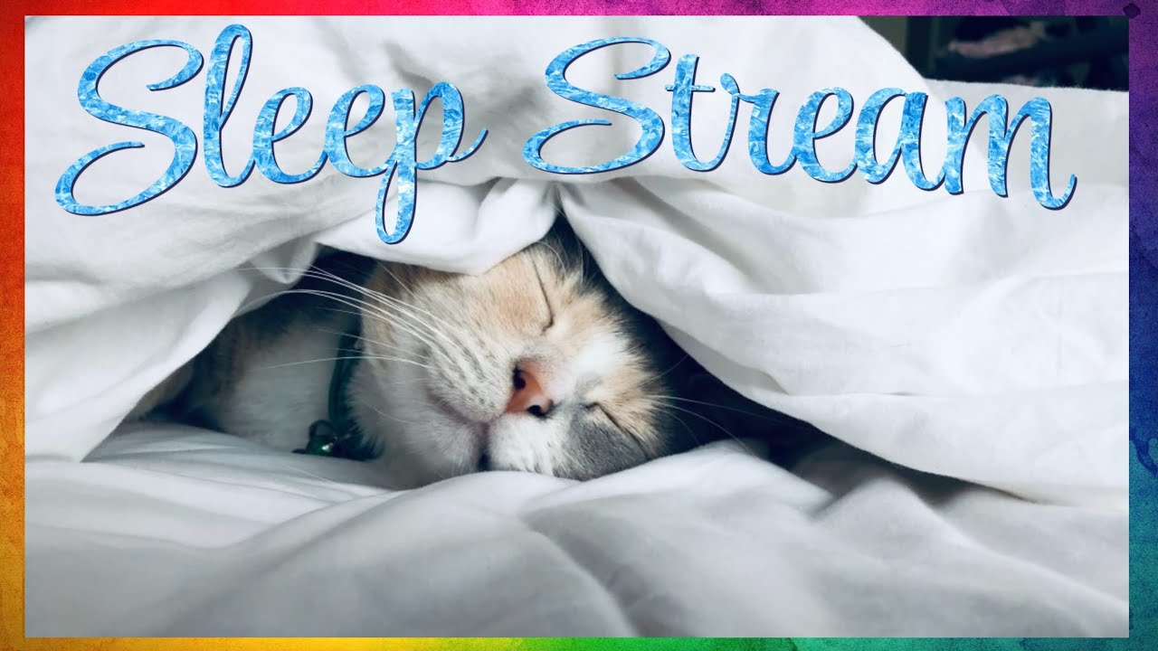 10 Days In VR Part 11: SLEEP STREAM My LIFE In VR - YouTube