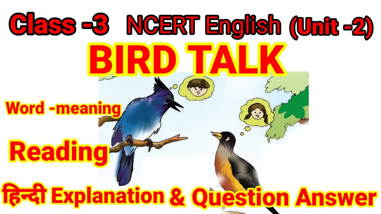 Bird Talk class 3 Unit 2 wordmeaning questionanswer hindi Explanation bird-talk-class-3-unit-2-wordmeaning-questionanswer-hindi-explanation