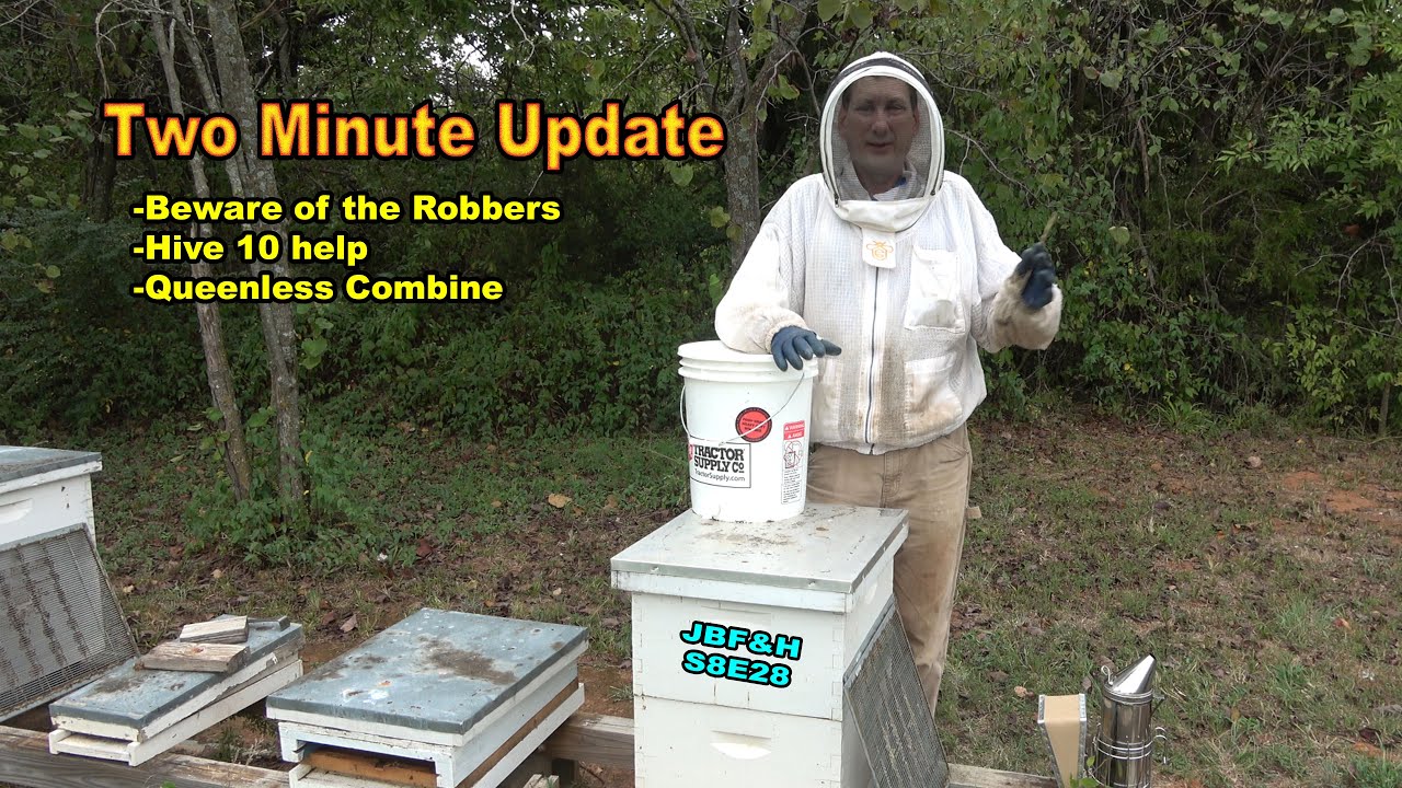 Two Minute Apiary Update 10-6-24 #beekeeping - YouTube