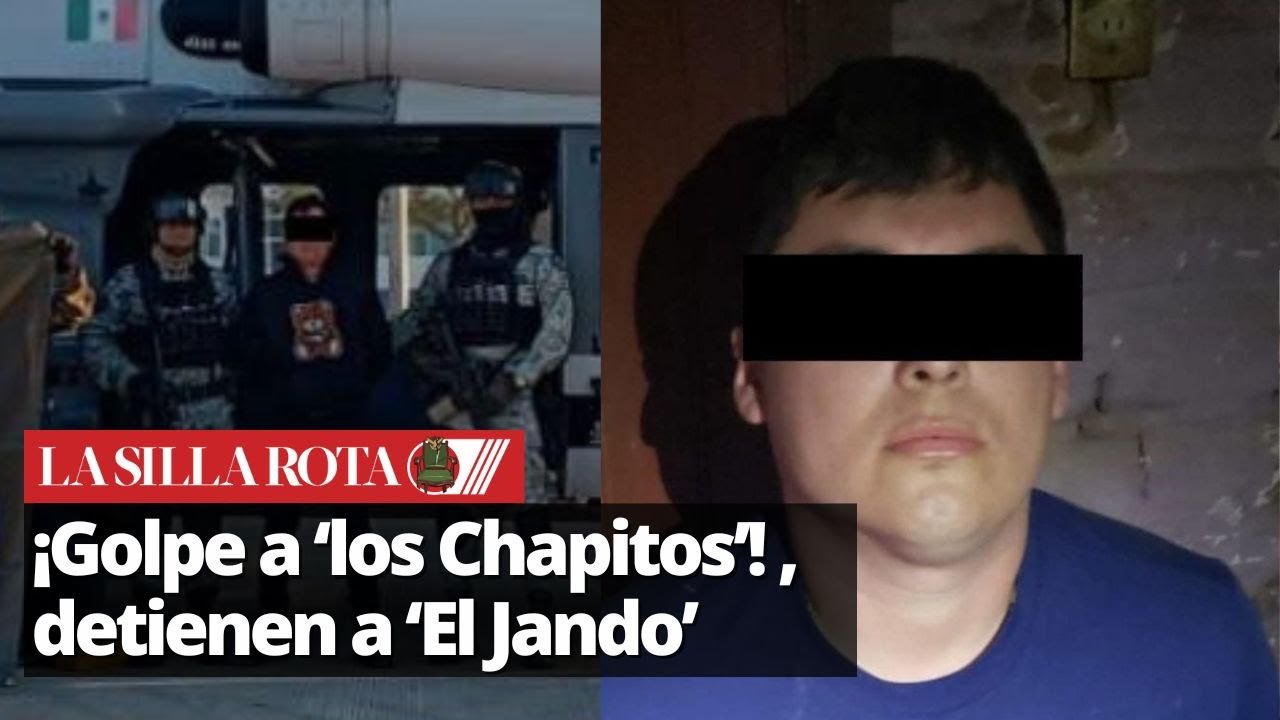 Capturan en Sinaloa ‘El Jando’, operador de “Los Chapitos” - YouTube