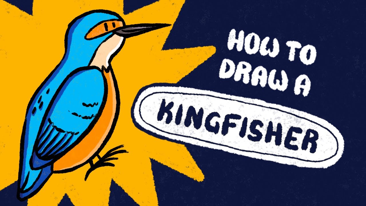 How to Draw a Kingfisher | Step by Step | in 1 Minute! - YouTube