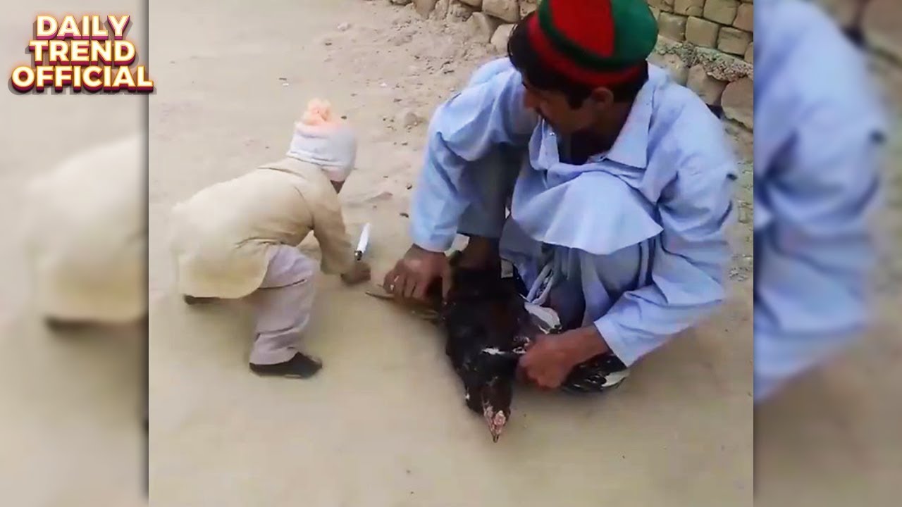 Funny Child Showing Love With Rooster - YouTube