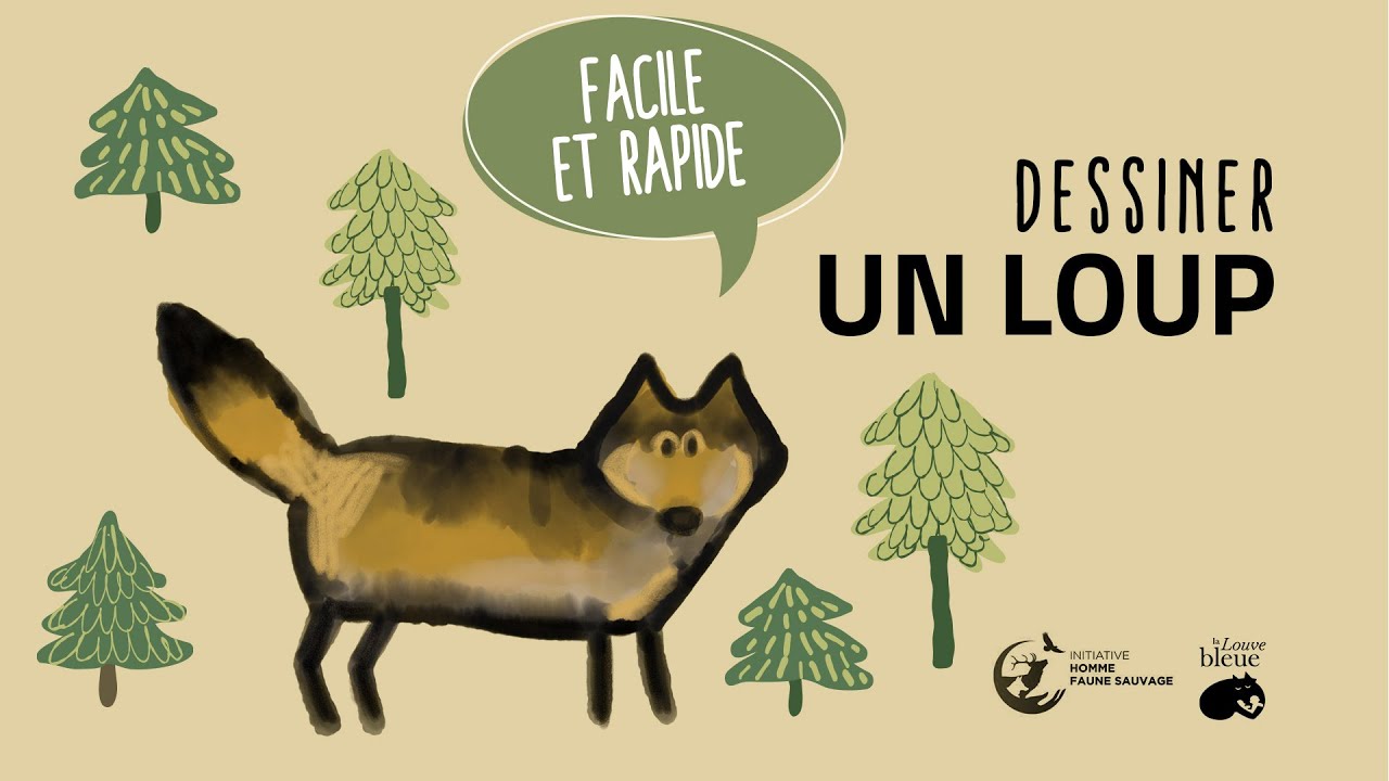 Dessiner facilement un loup - tuto dessin facile Ce1-Ce2 - YouTube