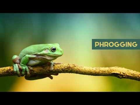 Phrogging Meaning | Word pronounce | English Speaking Practice | English | WordsClasses - YouTube