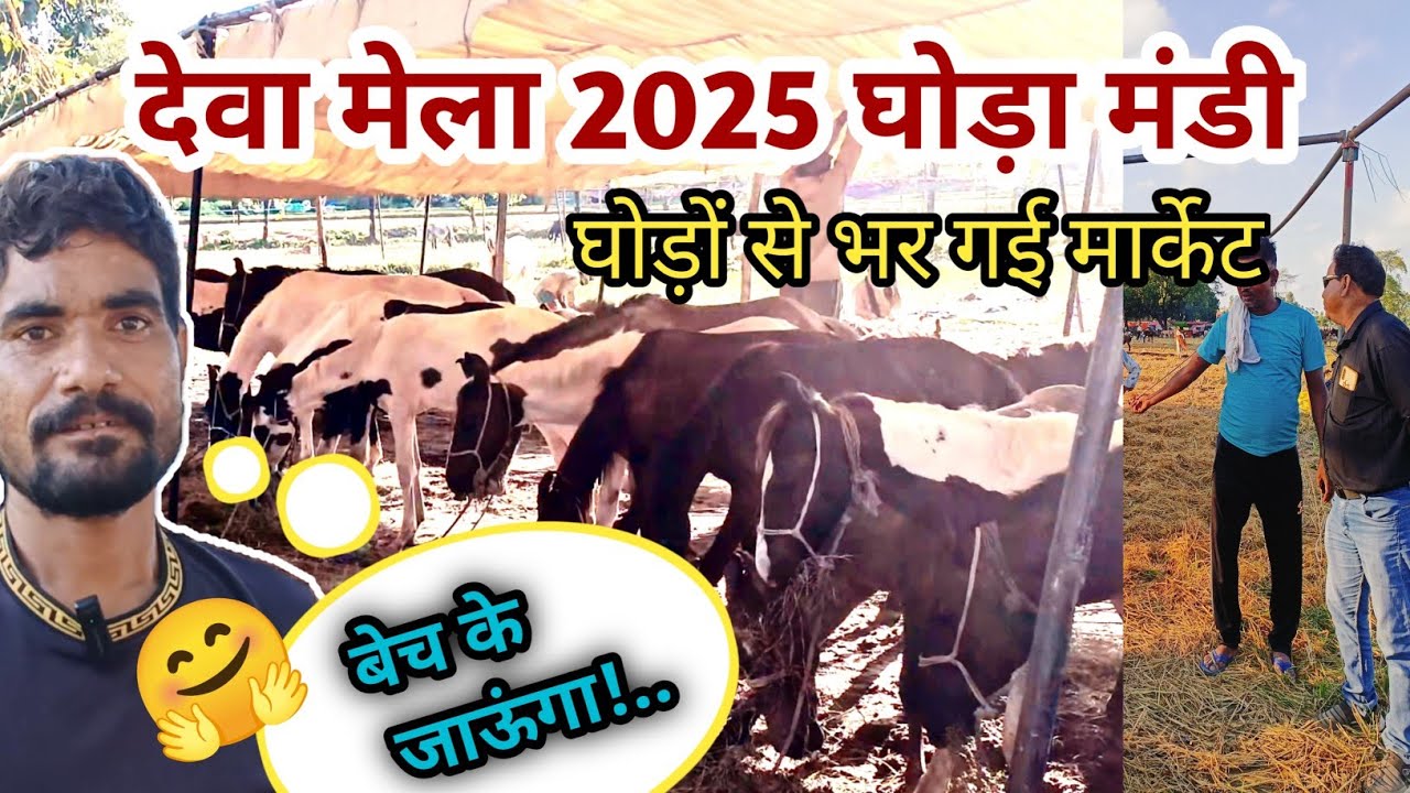 Deva mela 2025 | Ghoda bazar dewa mela | horse market deva barabanki ...