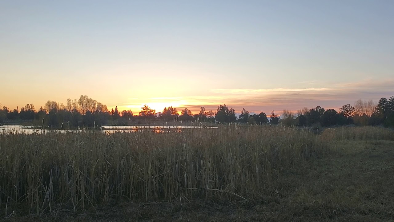 Video of Reynolds Pond Recreation Site, OR from Tombo - YouTube